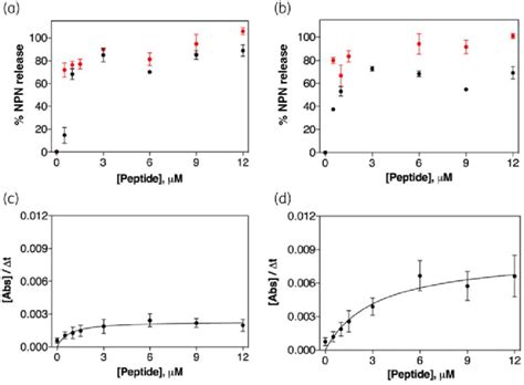 Outer And Inner Membrane Permeability Of E Coli Cells In The Presence Download Scientific