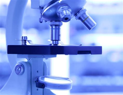 Machine Learning Reveals Sex Specific Genes Molecular Pathways Linked