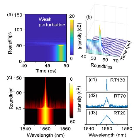simulation results of the dynamics of dkss under weak perturbations as