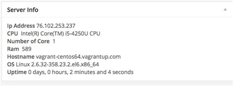 Turning A WordPress Server Dashboard Into A Widget Fire Bull Design Studio