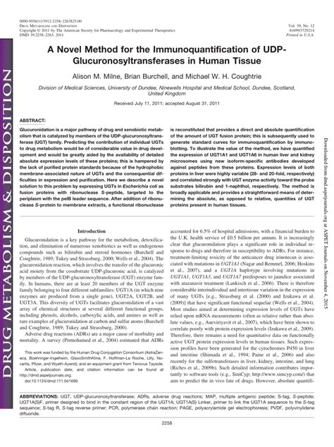 Pdf A Novel Method For The Immunoquantification Of Udp Glucuronosyltransferases In Human Tissue