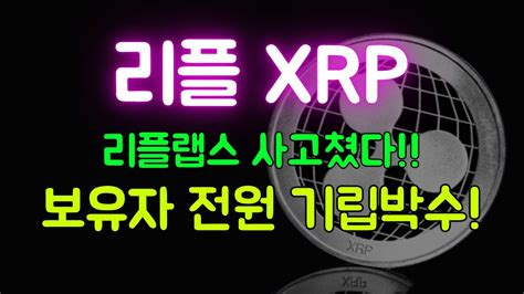 리플 이러다가 정말 Youtube