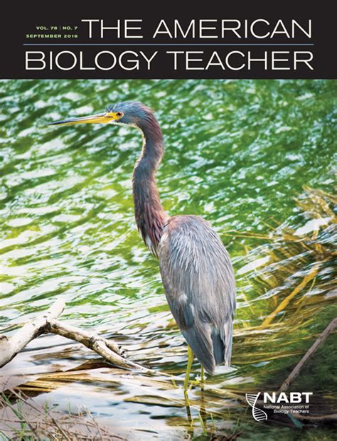 Using The Free Program Mega To Build Phylogenetic Trees From Molecular Data The American