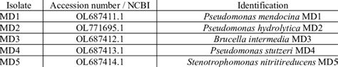 Identification Of Five Strains Based On 16s Rdna Sequences Download