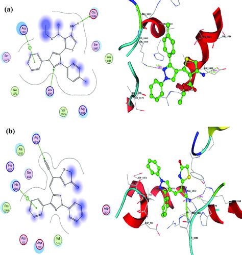 A 2d And 3d Binding Mode Of Compound 7b Inside The Active Site Of Dna