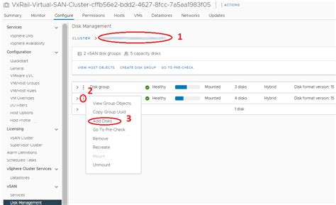 Guide To Manually Replace Disks Using Vcenter On Dell Vxrail Clusters Dell European