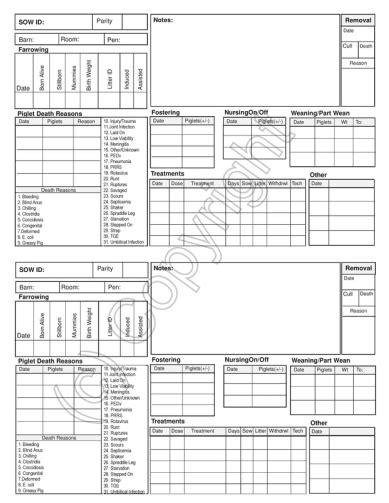 Swine Data Management Sow Card Sales Swine Data Management
