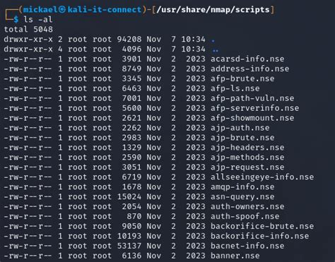 Nmap Comment Utiliser Les Scripts Nse