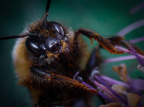 Intimacy With The Tiny Urban Life On Behance