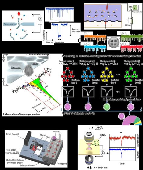 A Principle Of Nanopore Sensing A Nanoscale Size Pore Separates Two Download Scientific