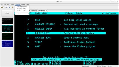 Tterm Terminal Emulation For Linux Tn3270 Emulator Linux