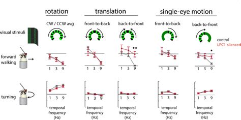 Fig S4 Related To Fig 4 Visual Motion Responses Of Flies With Lpc1