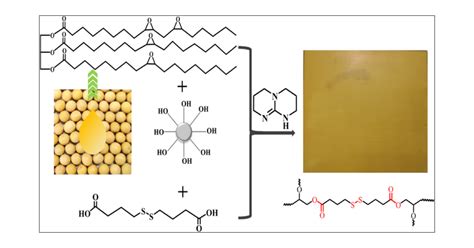 Biobased Dynamic Polymer Networks With Rapid Stress Relaxation Acs