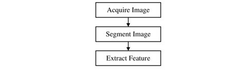 Three Steps Of Blob Analysis Download Scientific Diagram