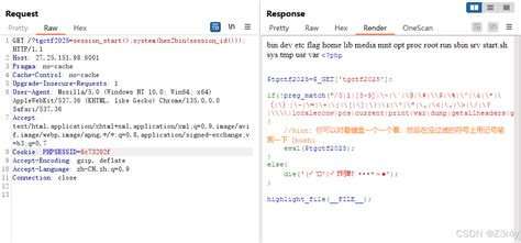 【web】tgctf 2025 题解 tgctf web csdn博客