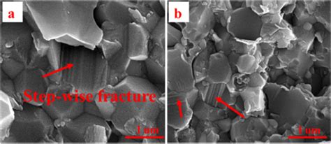 Fracture Surface Of Zta A And Zrc 15 Vol Zta B Download