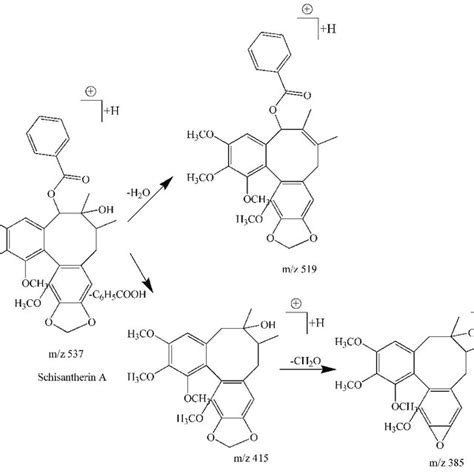 The Fragmentation Pathways Of Schisandrol A In Positive Ion Mode