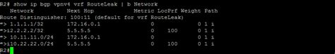 RouteLeakMPLS L VPN BGP As PE CE BGP As Override BGP Allowas In RouteLeak