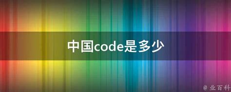 中国code是多少 业百科