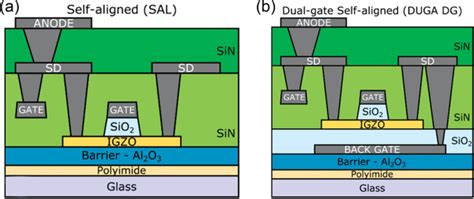 2d Cross‐sectional View Of The A‐igzo Tft With A Top Gate Only And B Download Scientific