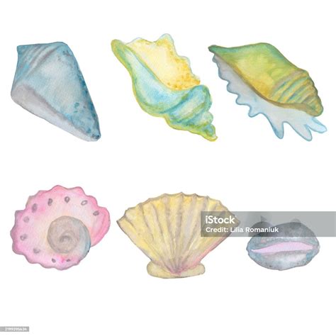 청록색과 베이지 색의 다양한 종류의 조개 분홍색과 불가사리 세트 식기 직물 메모장 및 카드 디자인을 위한 흰색 배경 베이스에 고립된 수채화 그림 Unmanned