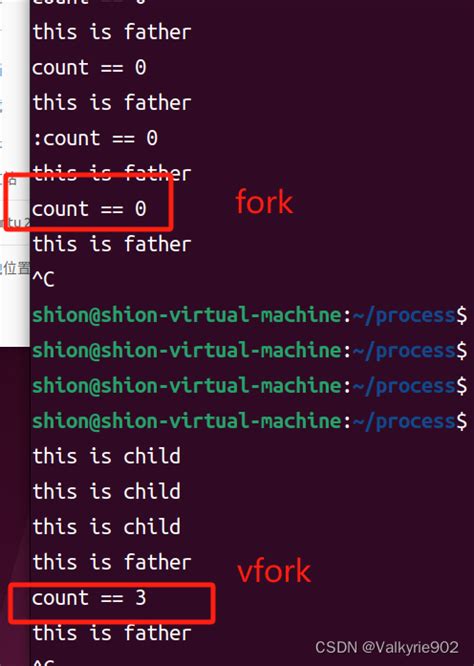 linux进程——vfork函数 linux vfork csdn博客