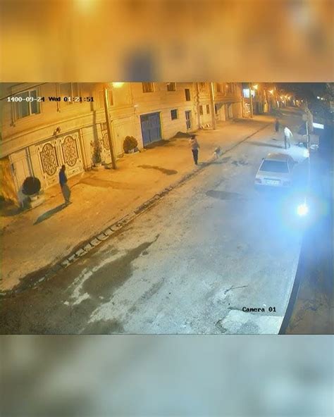 سگ سراب که نزدیک بو دو تا از دوستام رو بخوره 😆😢 Youtube