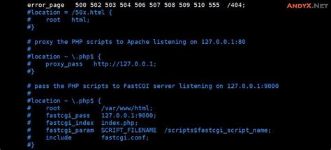 详解nginx的rewrite规则if指令正则变量写法 与配置location段落总结 Andyxnet 安迪克斯