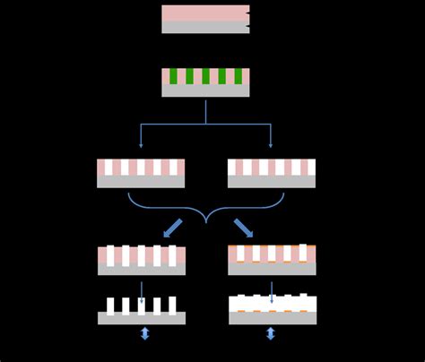 3 Schematic Presentation Of Lithographic Process Used To Fabricate
