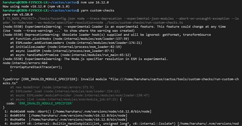 Fix Custom Checks Script From Packagejson Does Not Work