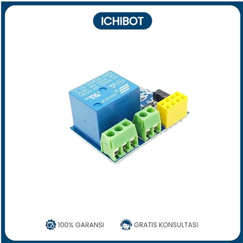 Esp8266 Series Port Wifi Relay Module Iot Smart Home Socket Optional