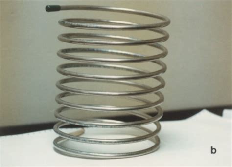 Tumblr Inline O56rurpU1y1rh6rrj 540