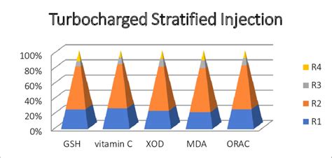 Turbocharged Stratified Injection Figure 1 Shows The Graphical