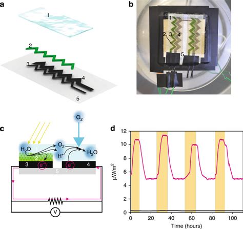 Testing The Performance Of The Fully Printed Bpv Device A Schematic