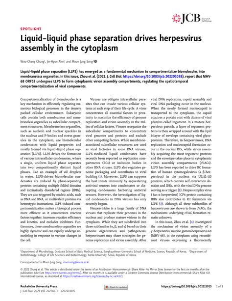 Pdf Liquid Liquid Phase Separation Drives Herpesvirus Assembly In The Cytoplasm