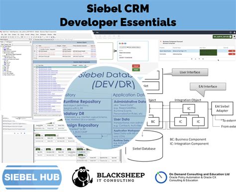 Siebel Crm Training The Siebel Hub