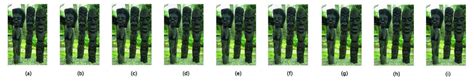 Denoising Results Of One Image From Cbsd68 Color Image With Noise Level