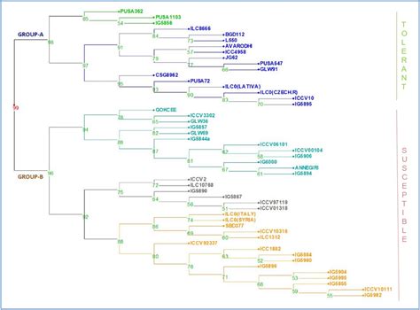 Dendrogram Generated From An Unweighted Pair Group Method Analysis