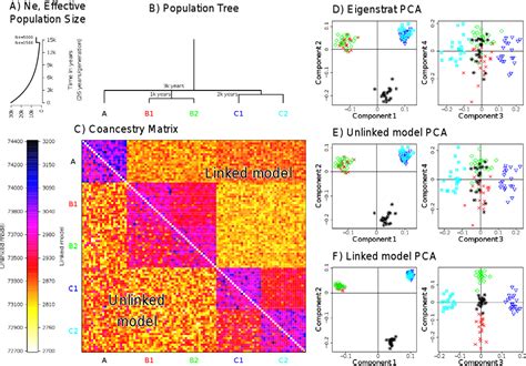 Figure 2 From Inference Of Population Structure Using Dense Haplotype Data Semantic Scholar
