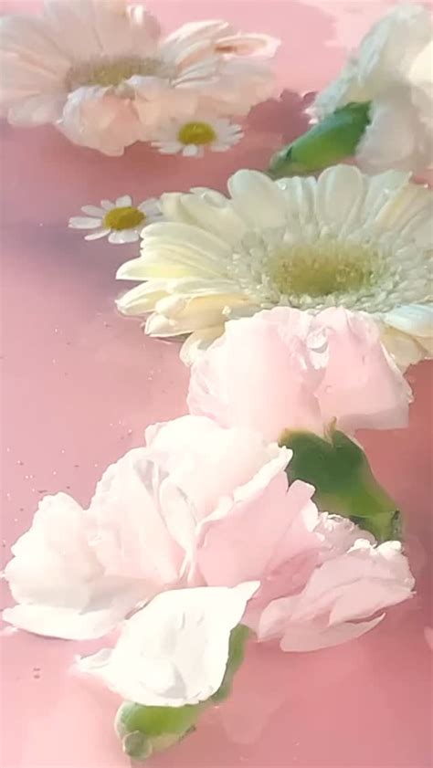 청주 천안 대전 안성 평택 강원 세종 네일존 Repost Izemikorea With Downloadrepostpro 2025 1st Collection