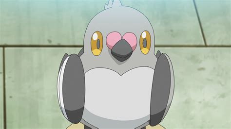 Pidove Pokémon How To Catch Stats Moves Strength Weakness Trivia Faqs