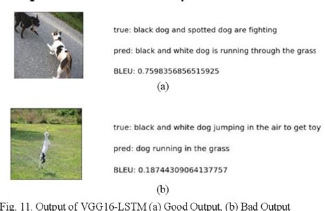 Figure 11 From An Analysis Of Image Captioning Models Using Deep Learning Semantic Scholar