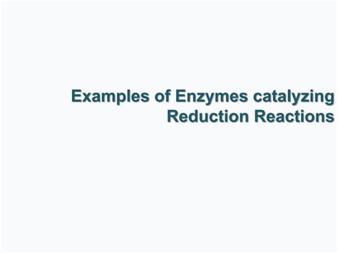 Enzyme Catalyzed Reactions Pptx Chemistry Science
