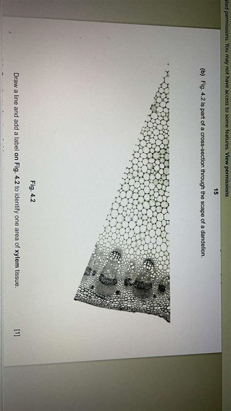 The Best Online Forum To Discuss IGCSE S And O Levels