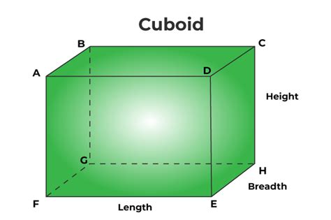 Surface Area Of Cuboid Definition Formulas Derivation OFF