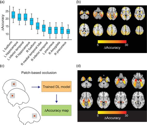 occlusion analysis a Δ accuracy performance when regional‐based