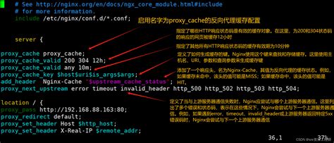 nginx反向代理 缓存服务器的配置详解 图解，配置详解 nginx 反向代理缓存 csdn博客