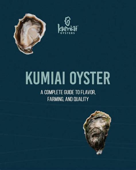 This Is Why Oysters Taste Different Baja Shellfish Farms