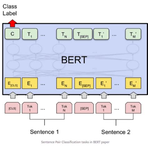 Bert Per La Misurazione Della Somiglianza Del Testo Deep Learning Italia