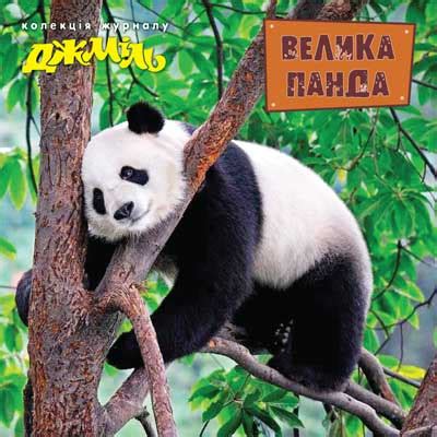 Велика панда | Джміль – журнал для дітей, їхніх батьків і педагогів